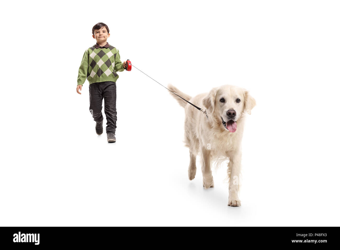 Full length portrait of a little boy walking a dog isolated on white ...