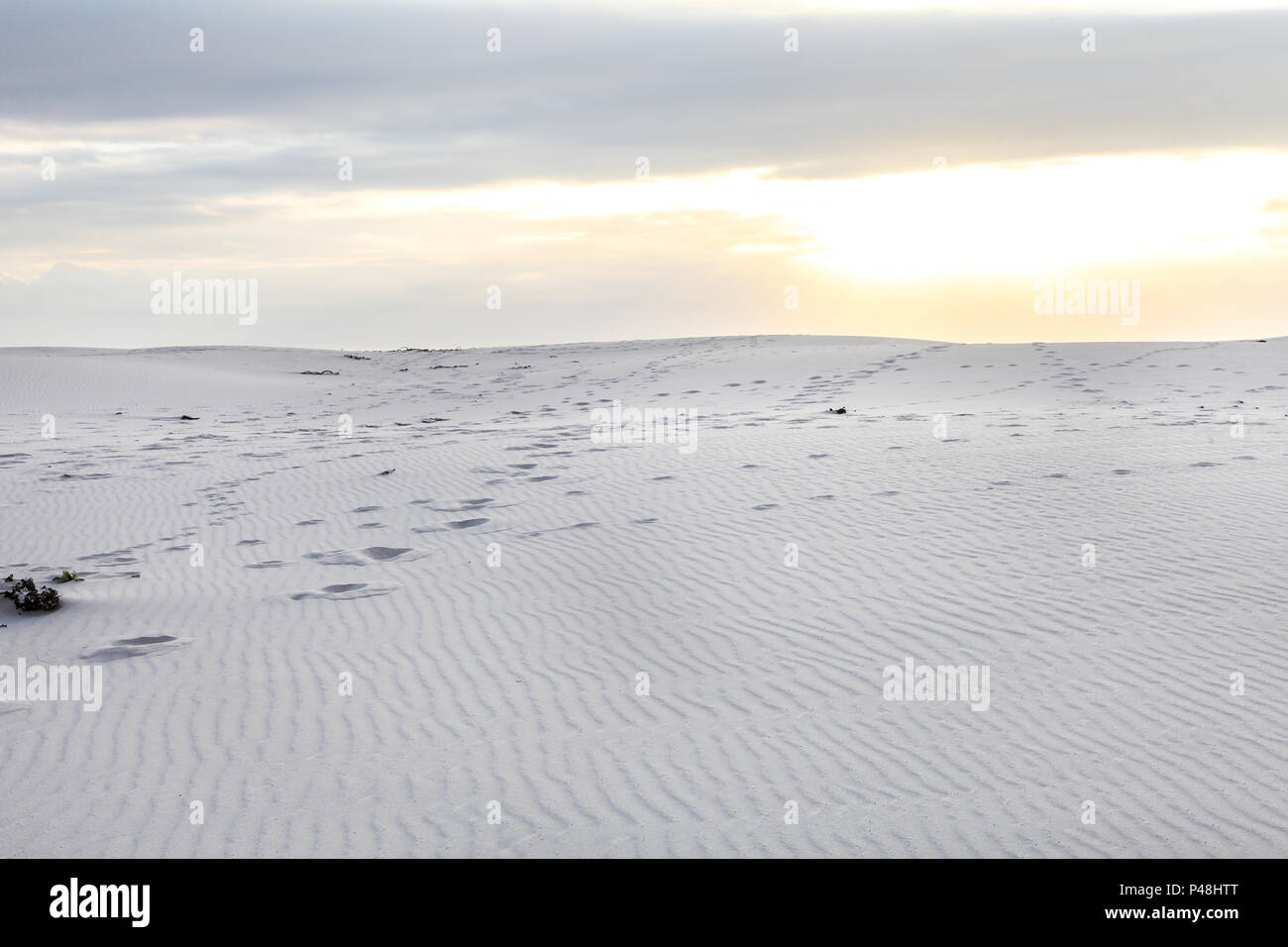 Coastal white beach sand with ripples and waves texture pattern for ...