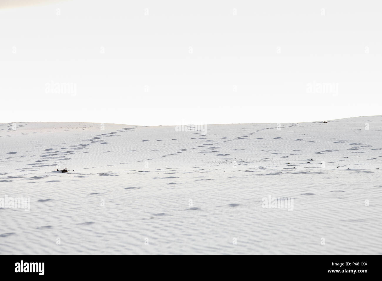 Coastal white beach sand with ripples and waves texture pattern for ...