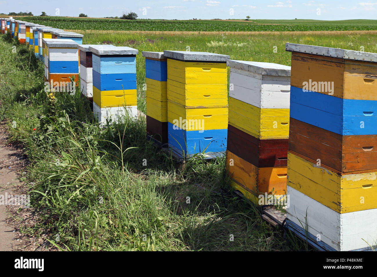 Colorful Wooden Beehive With Active Honey Bees Stock Photo - Alamy