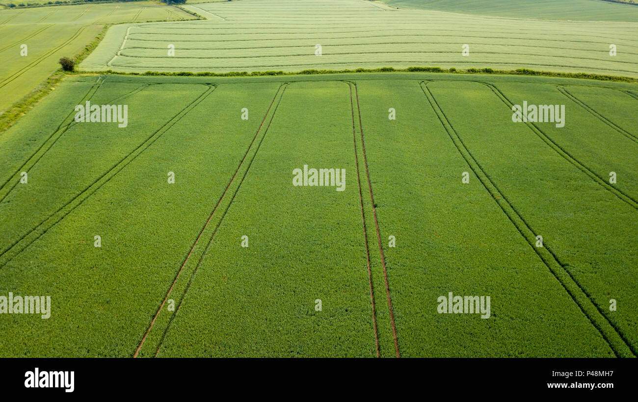 Fields countryside crops farming agriculture rural farm wales hi-res ...