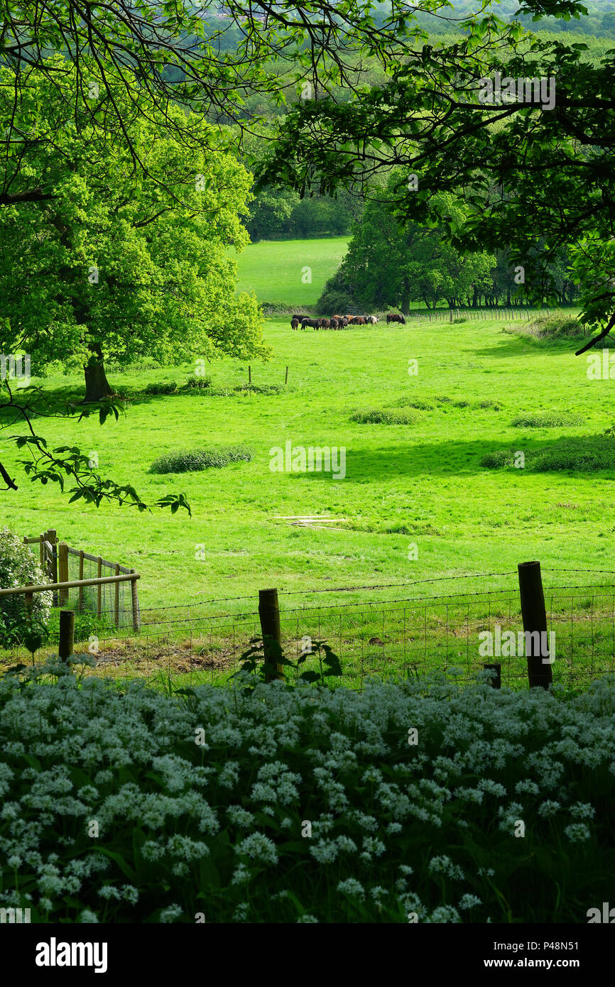 Riverhill house kent hi-res stock photography and images - Alamy