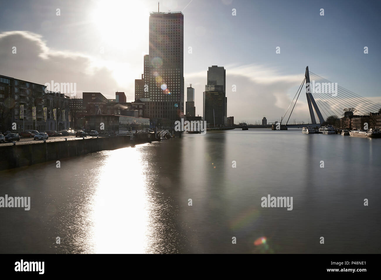 Erasmus Bridge over the river Maas in the city centre of Rotterdam ...