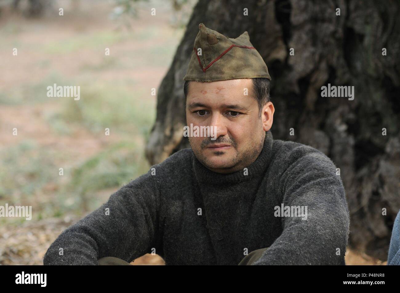 Gheko hi-res stock photography and images - Alamy