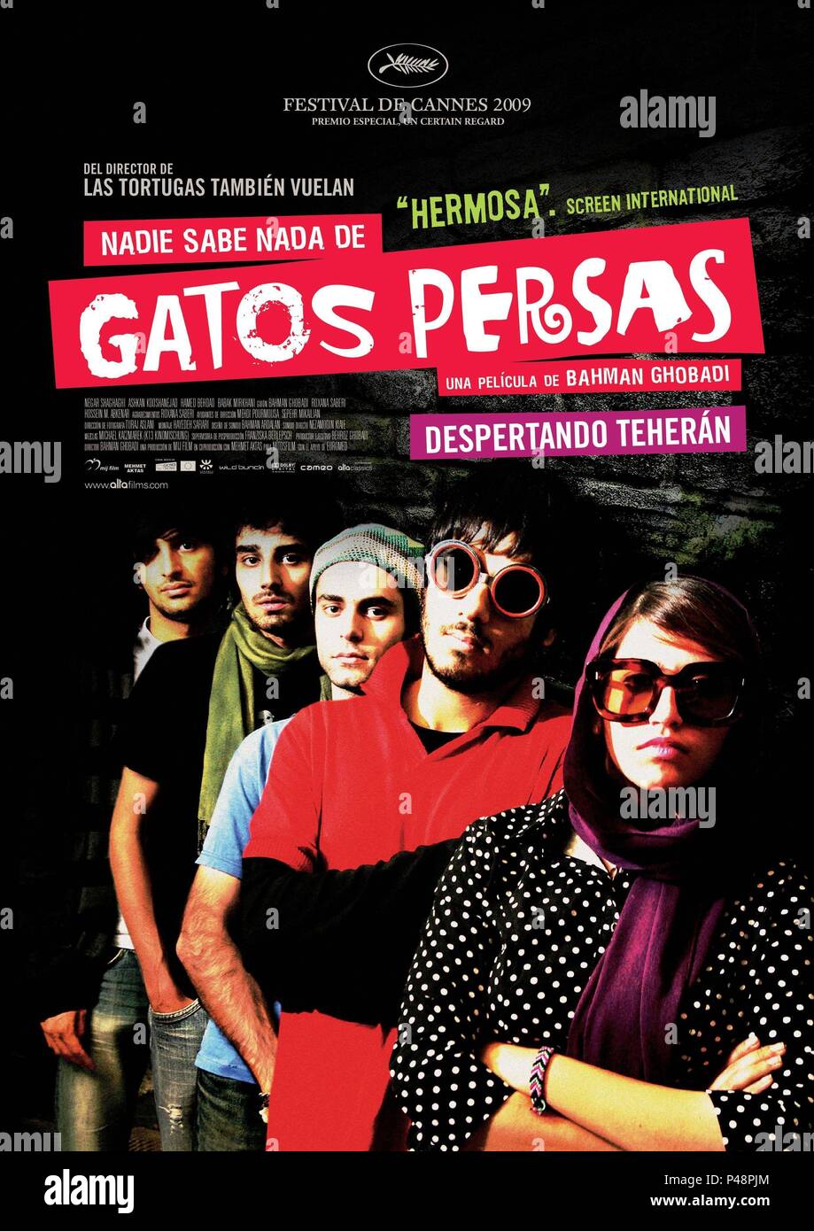 Persian cats hi-res stock photography and images - Alamy