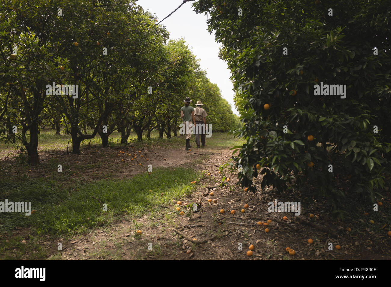 Orange farm south africa hi-res stock photography and images - Alamy