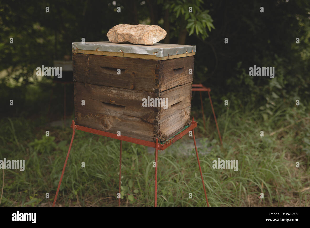 Beehive box in the farm Stock Photo - Alamy