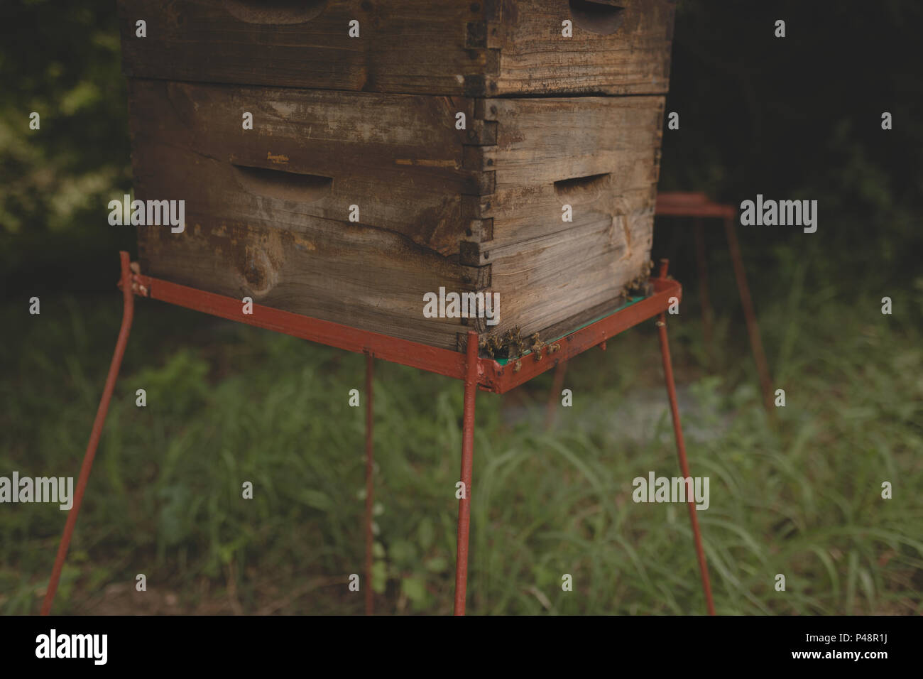 Beehive box in the farm Stock Photo - Alamy