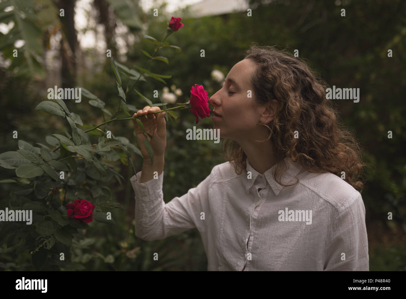 Woman smelling red rose in the garden Stock Photo - Alamy