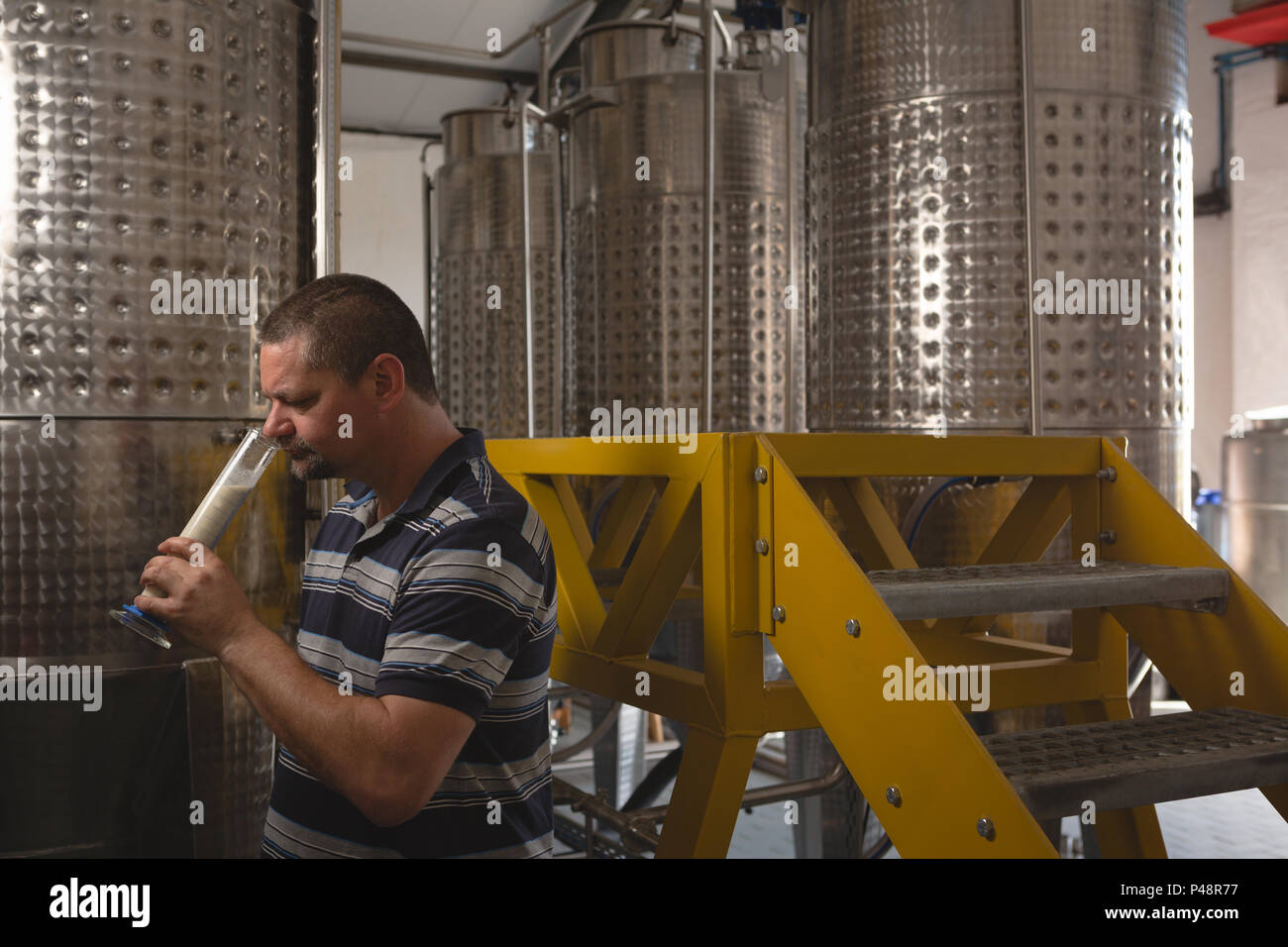 Worker checking quality of gin Stock Photo - Alamy