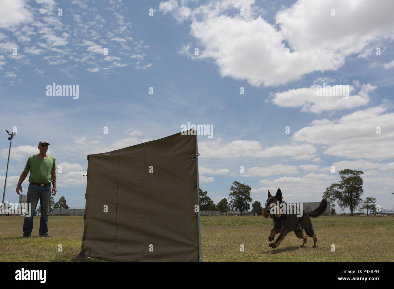 Trainer training the shepherd dog in the field Stock Photo - Alamy