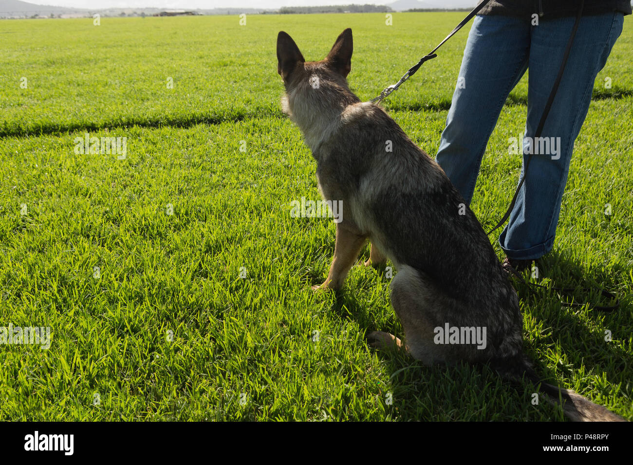 Ranch owner hi-res stock photography and images - Alamy