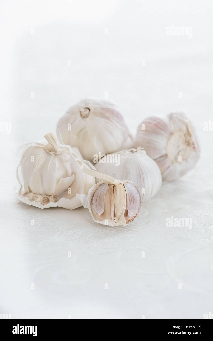 Garlic bulbs on a white background Stock Photo - Alamy