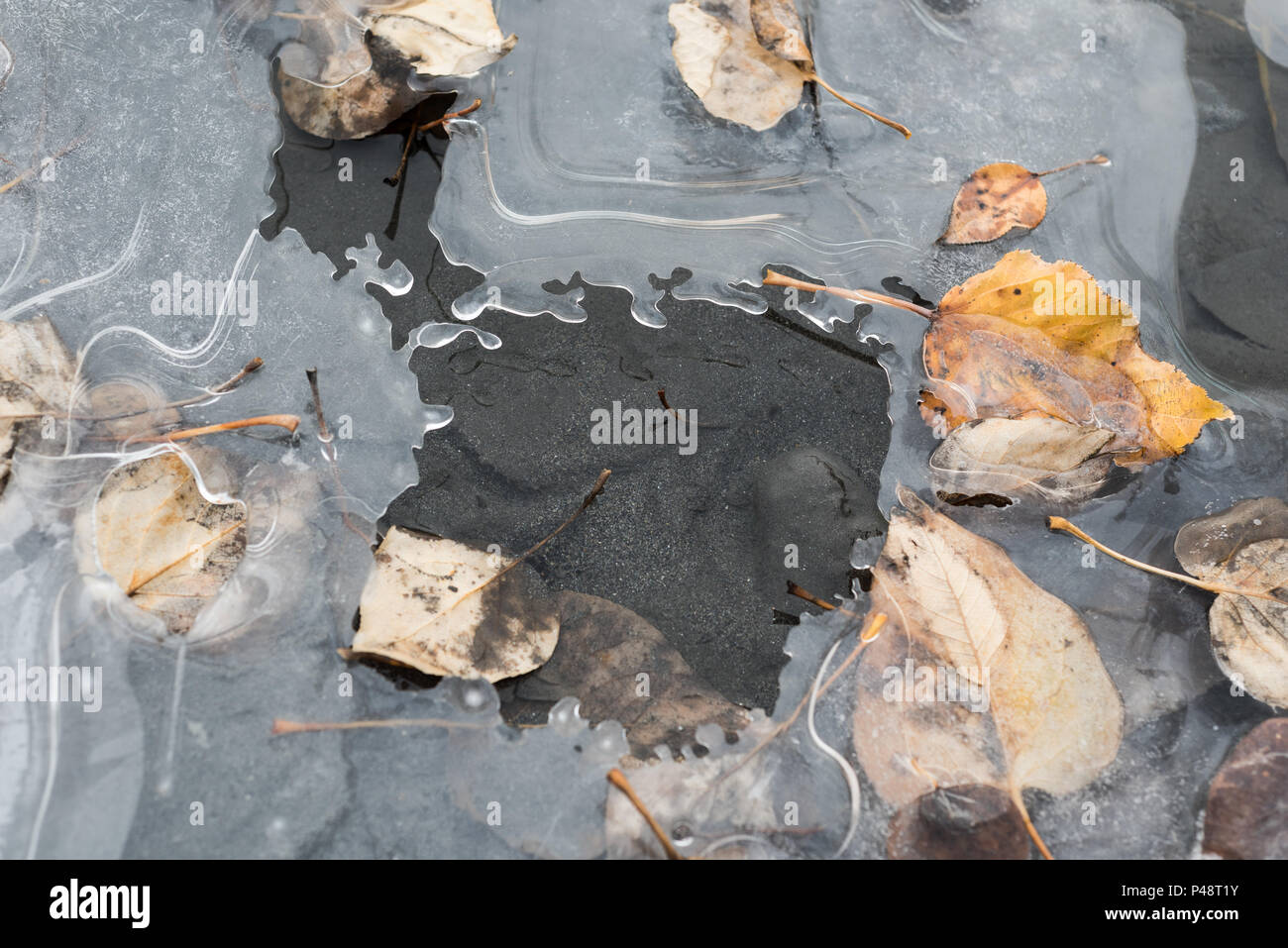 Beautiful frozen hi-res stock photography and images - Alamy