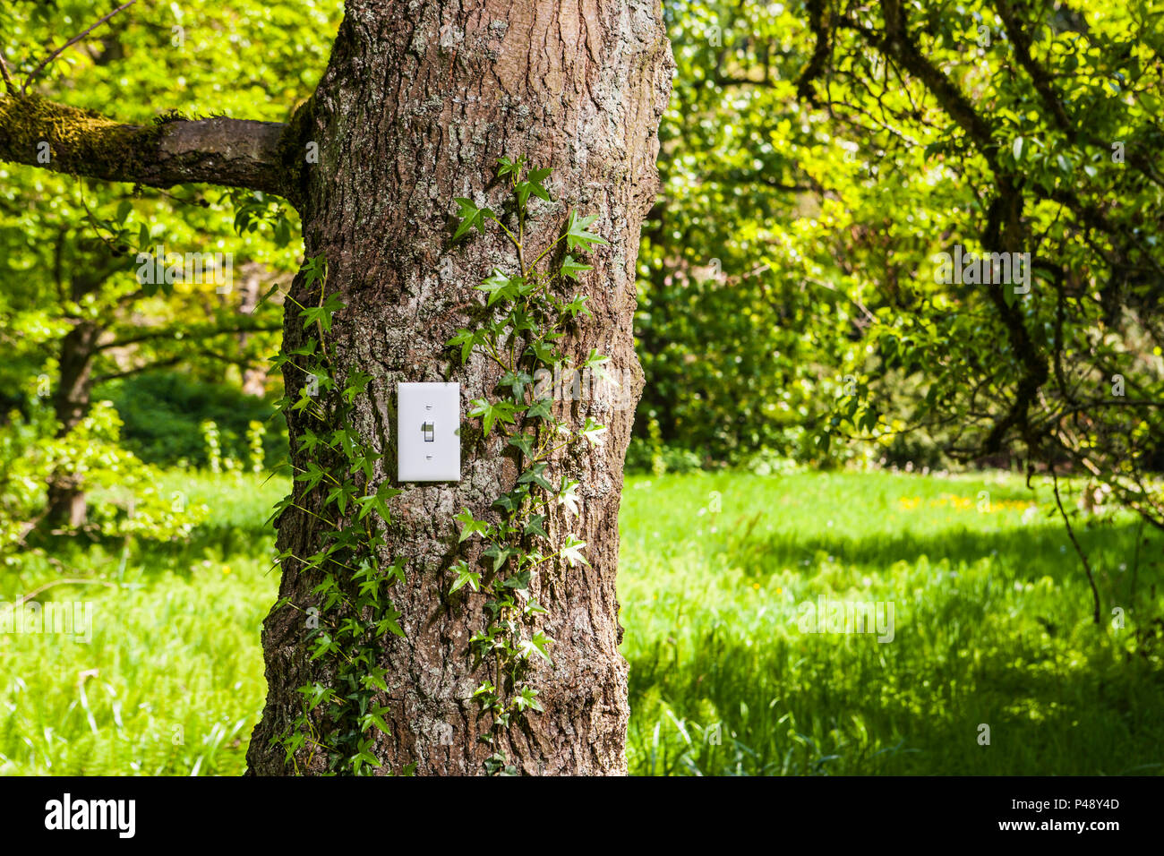 Installed on a tree hi-res stock photography and images - Alamy