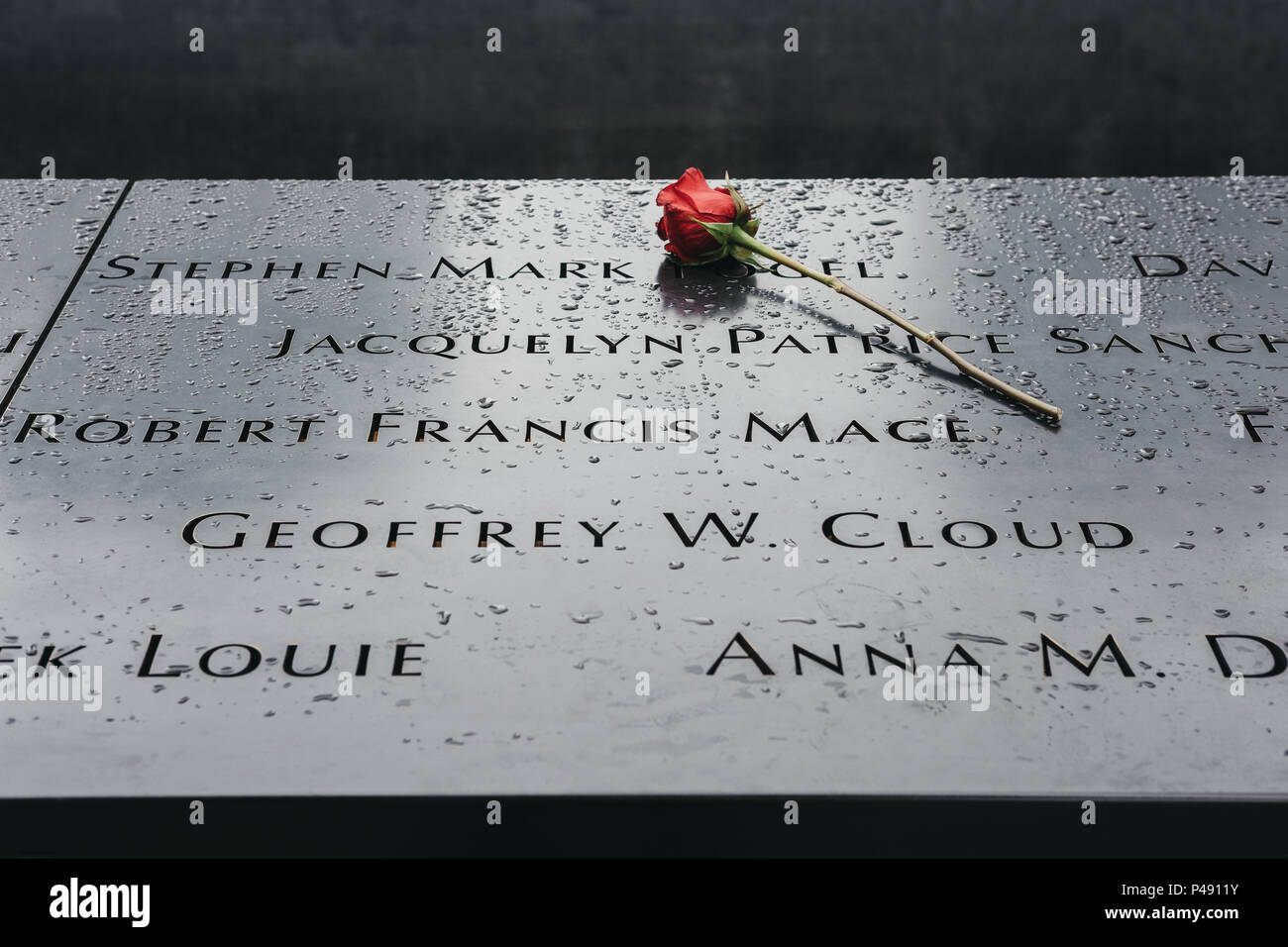 Personal red rose memorial hi-res stock photography and images - Alamy