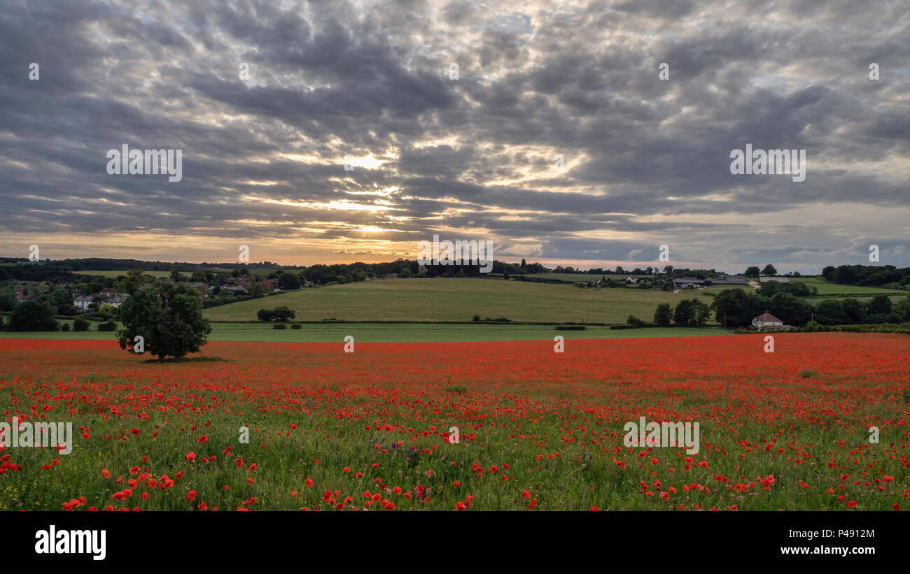Dane end hertfordshire hi-res stock photography and images - Alamy