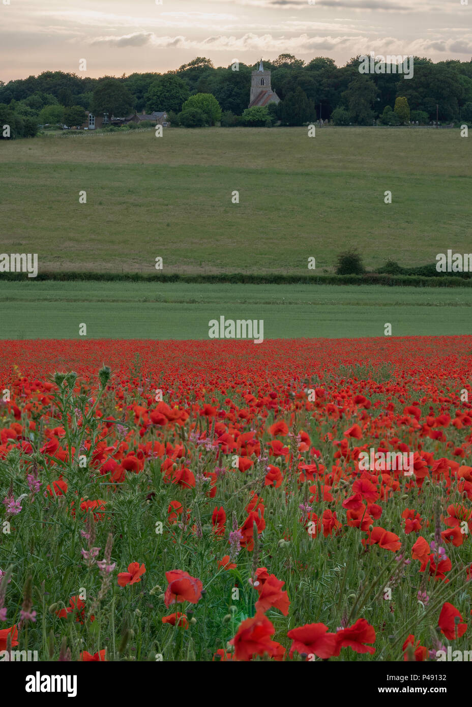 Dane end hertfordshire hi-res stock photography and images - Alamy