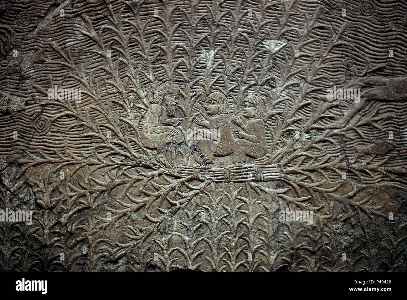 CALDEOS ESCONDIDOS POR UN ASIRIO ENTRE CAÑAS - RELIEVE. Location ...