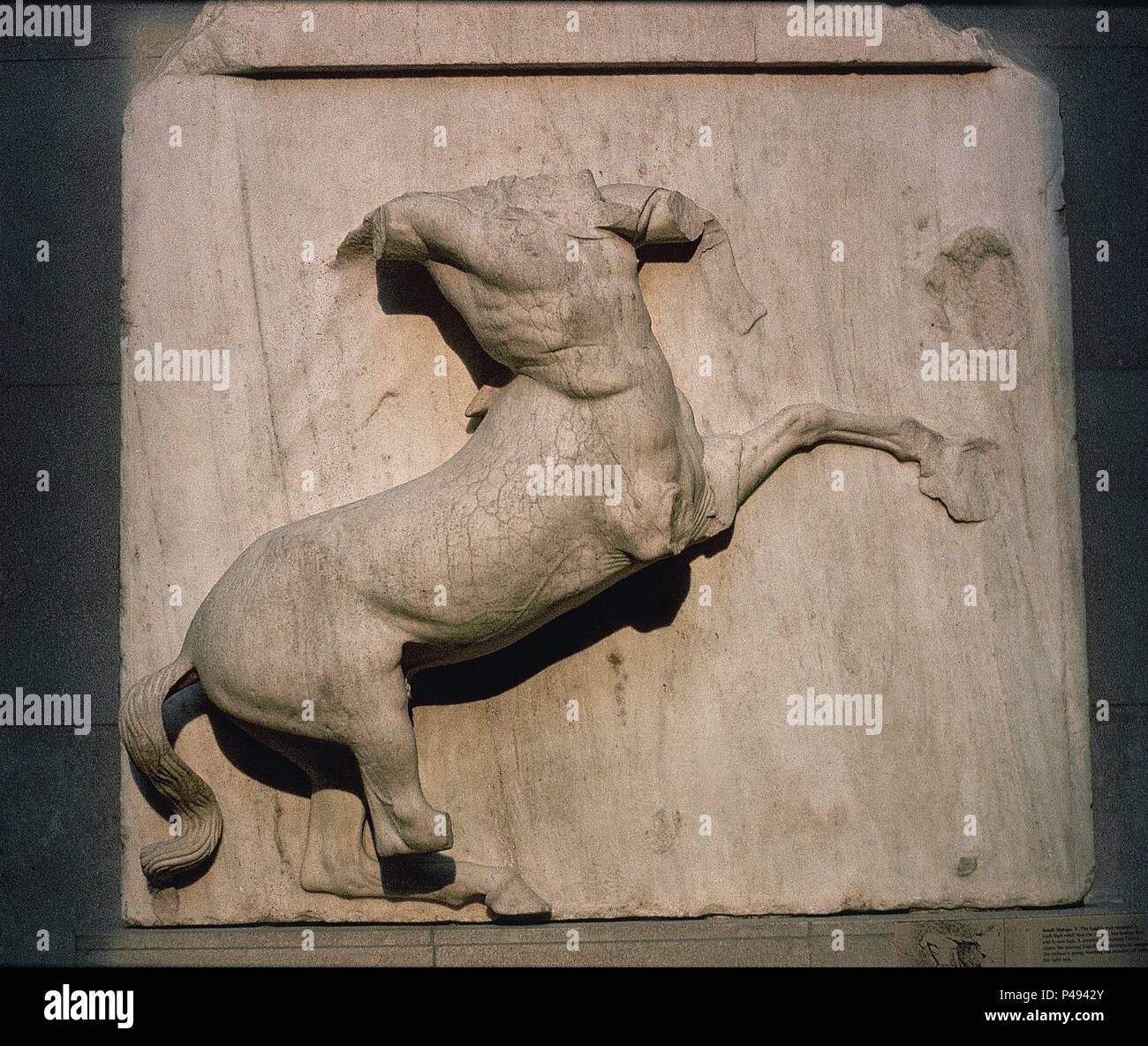 Parthenon frieze centaur hi-res stock photography and images - Alamy