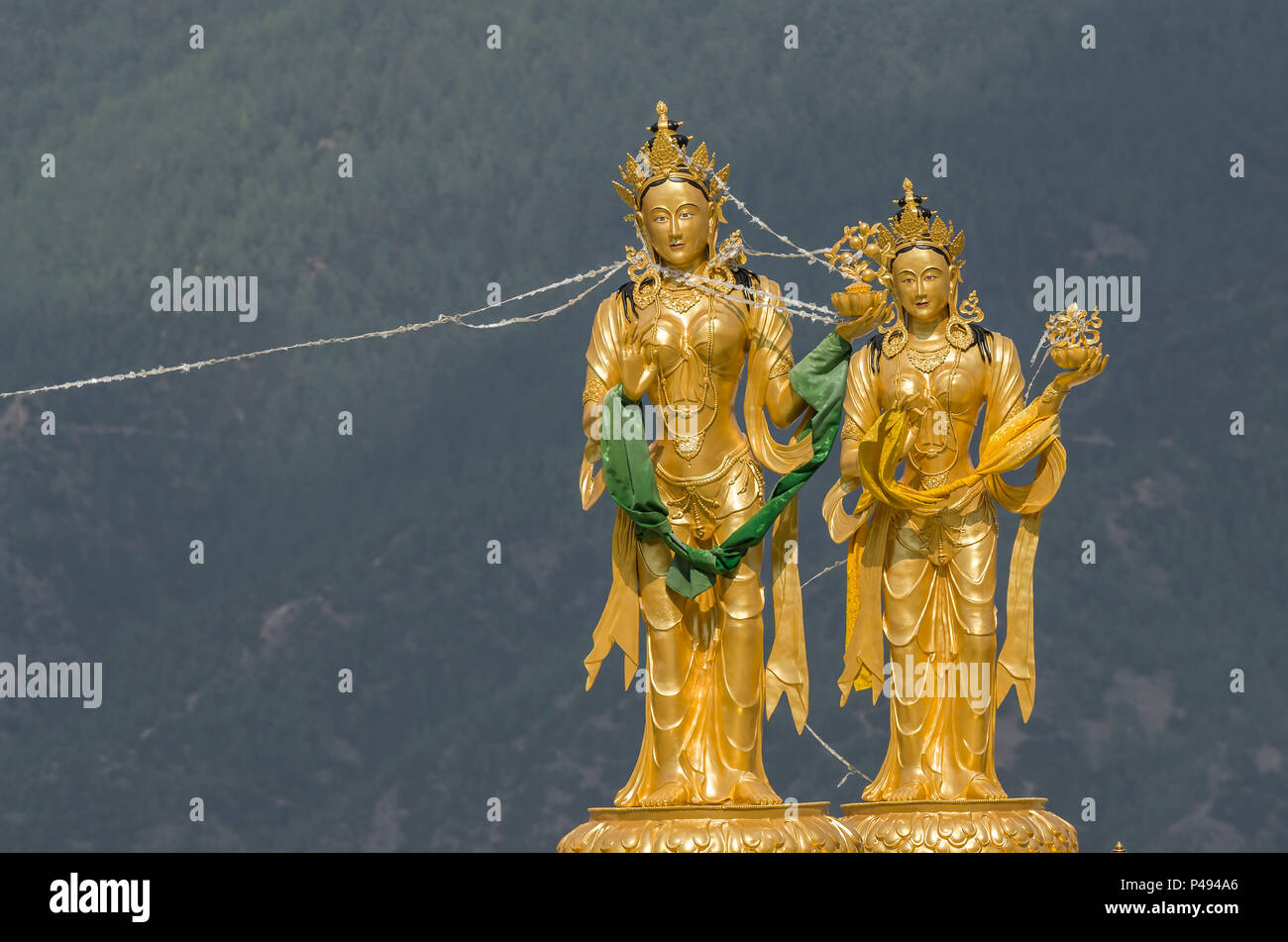 Statues of buddhist goddesses at top hill in Kuenselphodrang Nature ...