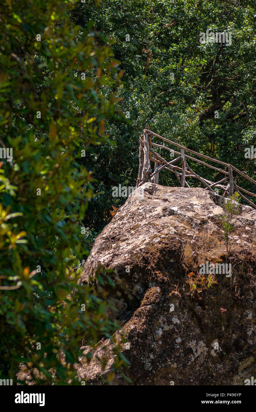 Observation deck on a rock in the forest, Madeira Stock Photo - Alamy