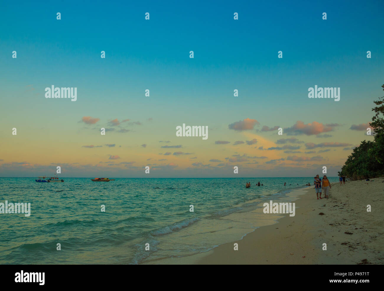 Havelock Island Beach (Andaman, India Stock Photo - Alamy