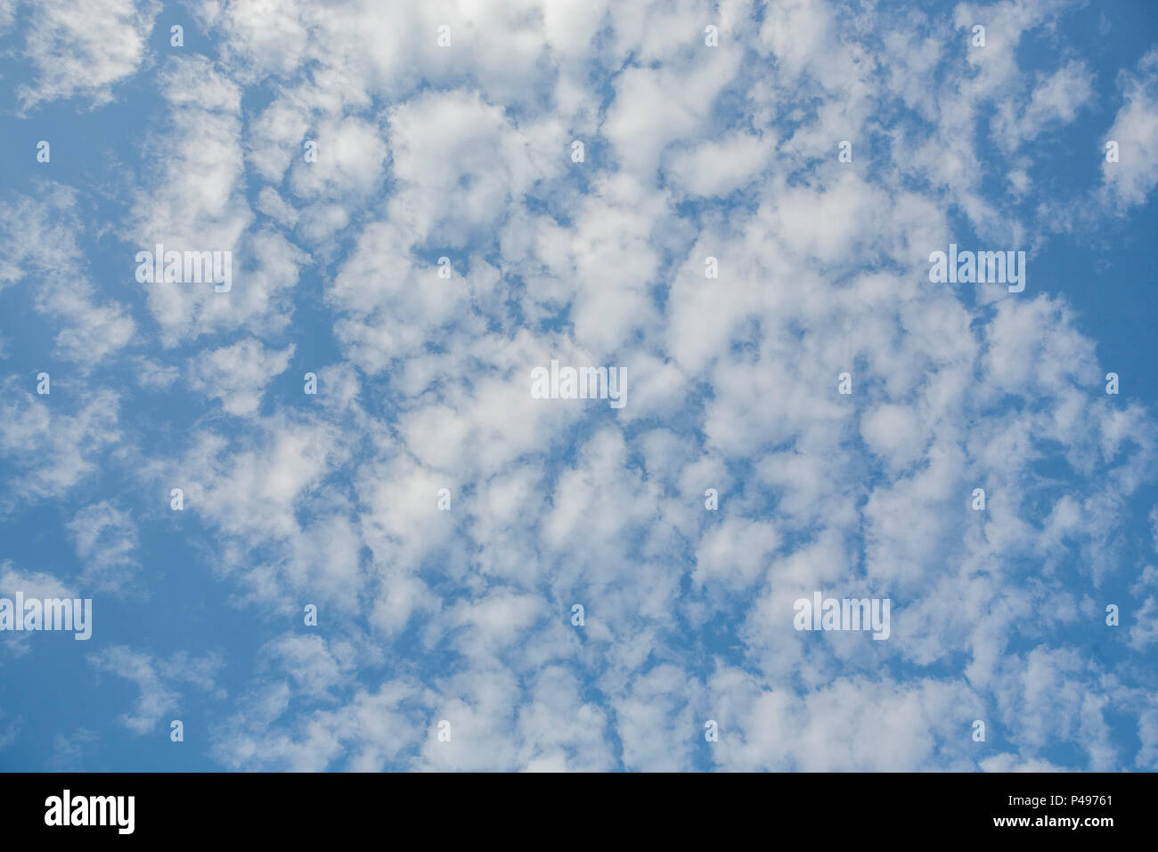 Sky with cirrocumulus Cirrus clouds Stock Photo - Alamy Sky with cirrocumulus Cirrus clouds Stock Photo - Alamy