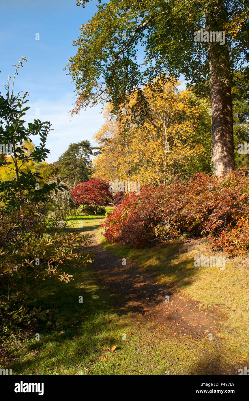 Mount Stewart Autumn Colours Boating Lake County Down Northern Ireland ...