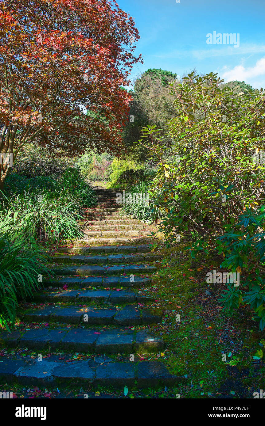 Mount Stewart Autumn Colours Boating Lake County Down Northern Ireland ...