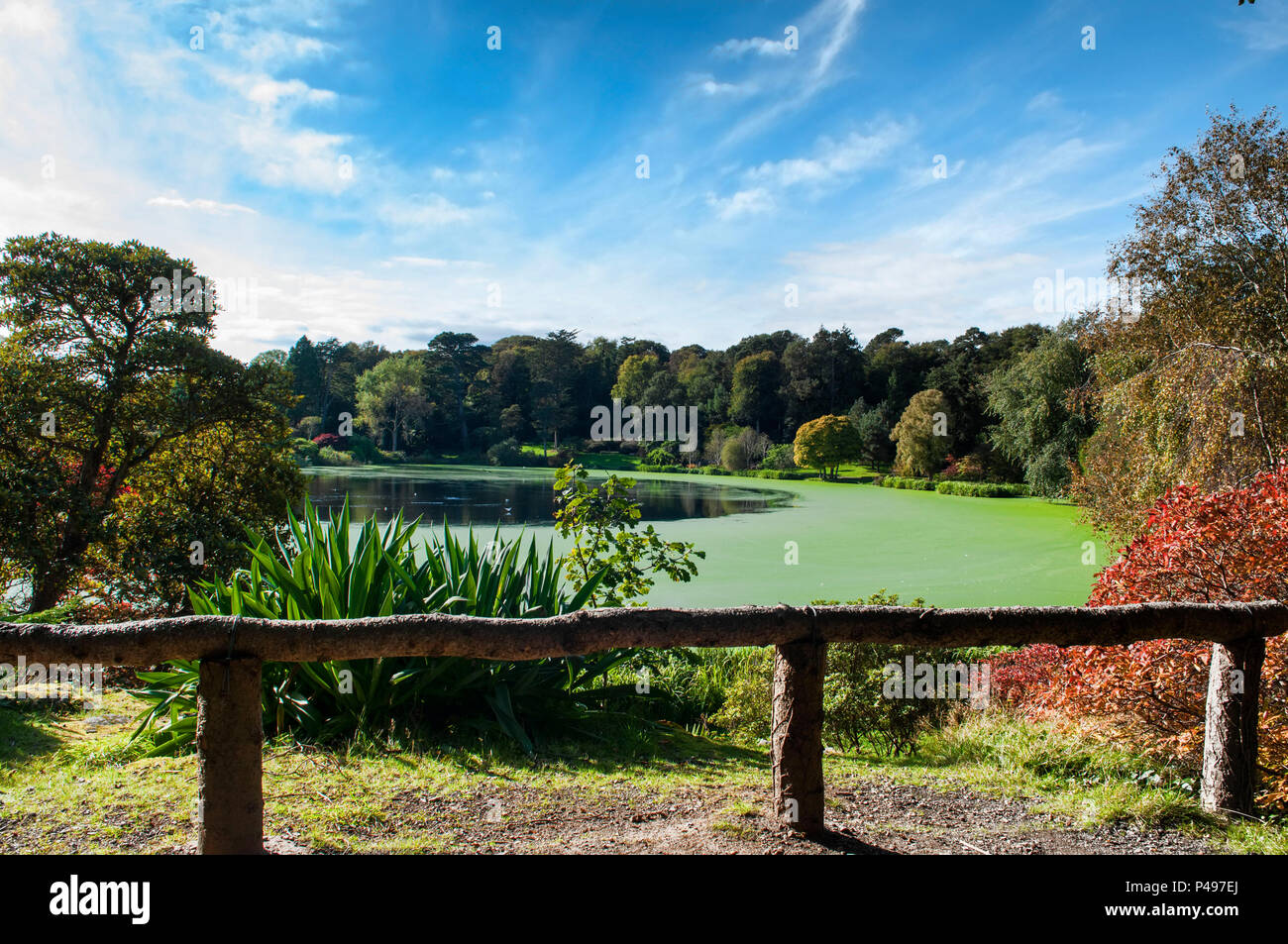 Mount Stewart Autumn Colours Boating Lake County Down Northern Ireland ...
