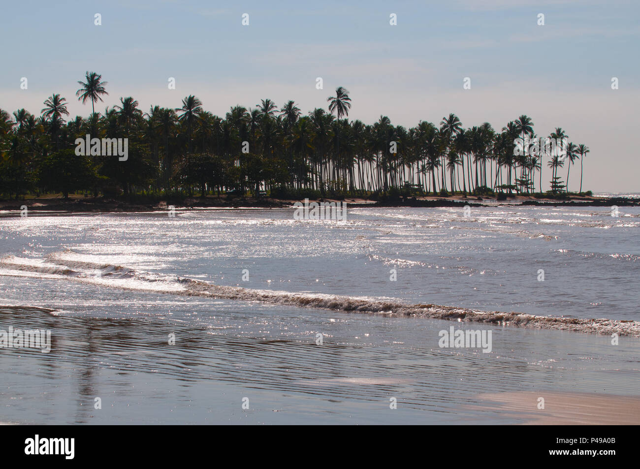 Aracruz hi-res stock photography and images - Alamy