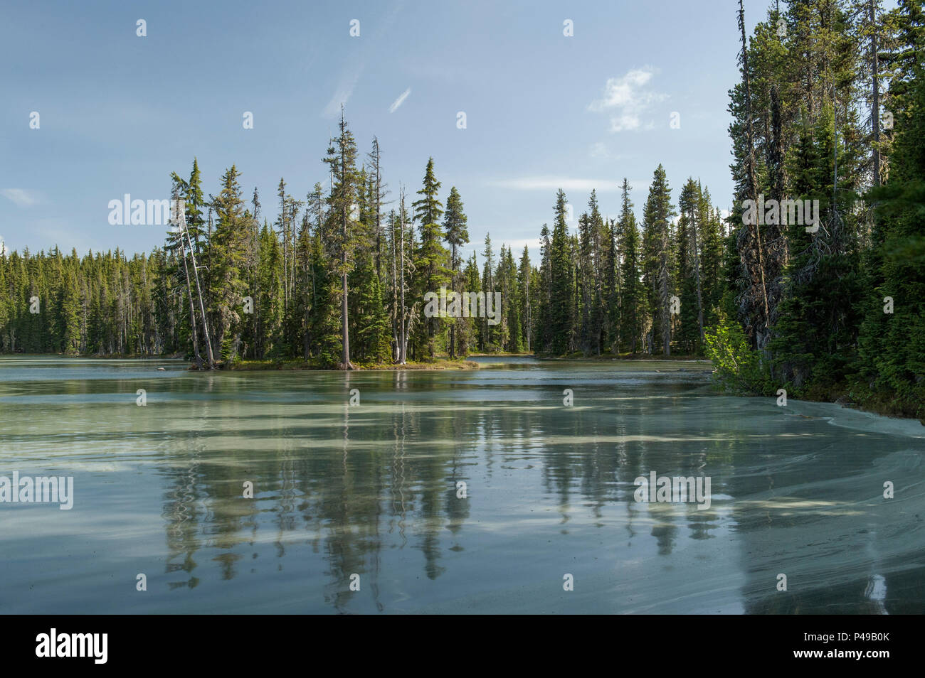 Tree pollen coats the surface of Taylor Lake, near the crest of the ...