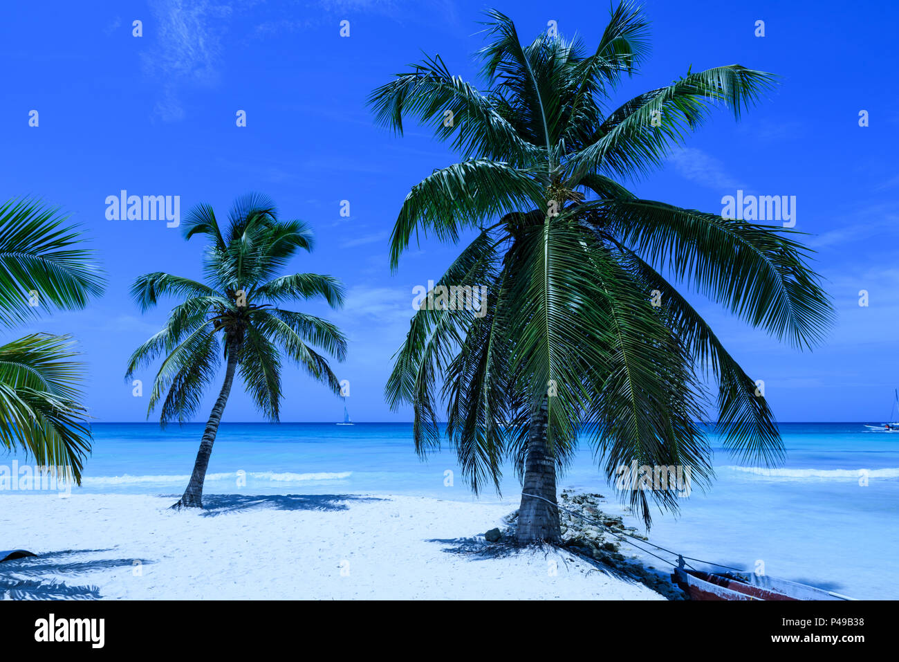 Tropical beach in Saona Island (Dominican Republic Stock Photo - Alamy