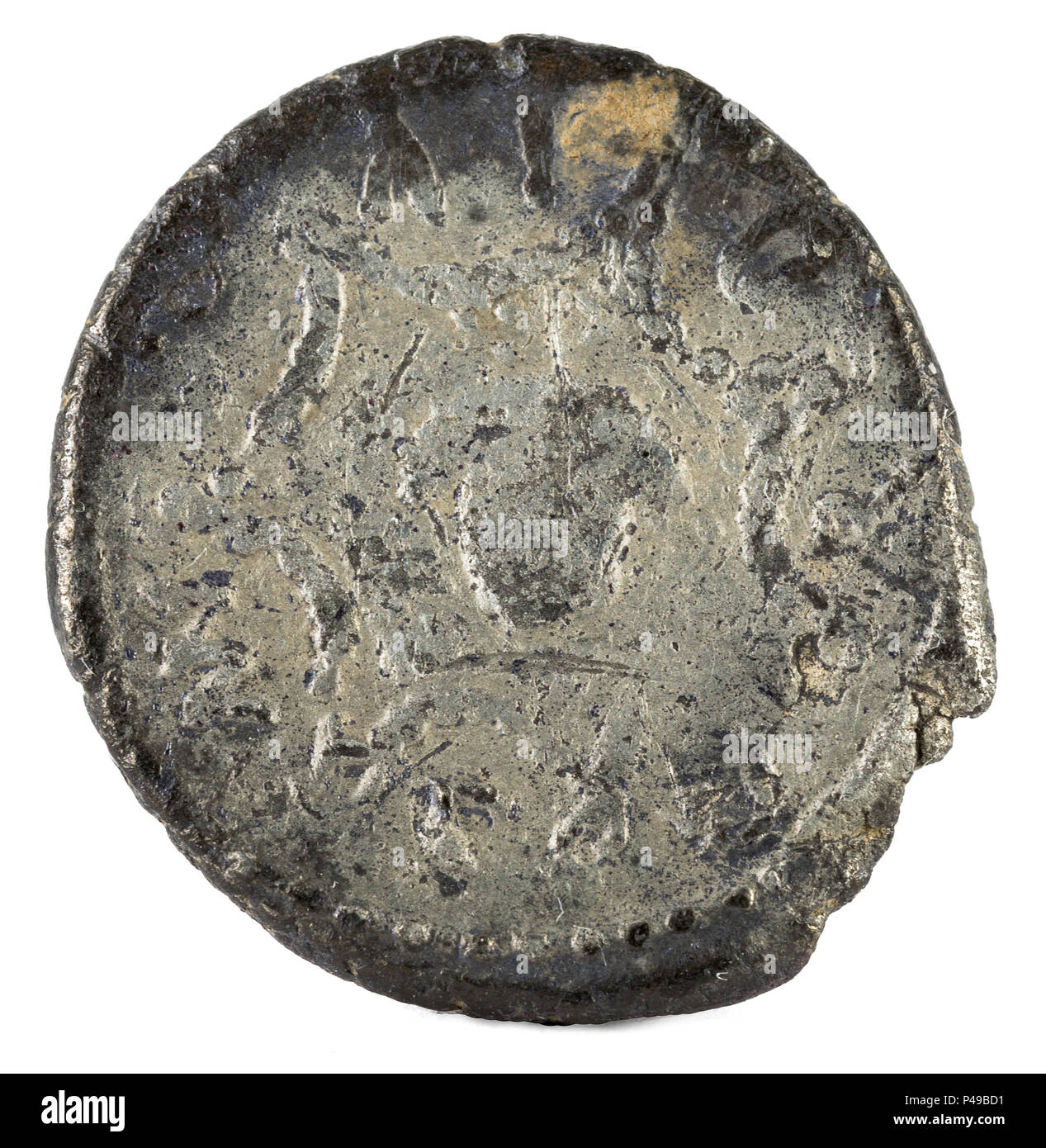 White cordia hi-res stock photography and images - Alamy