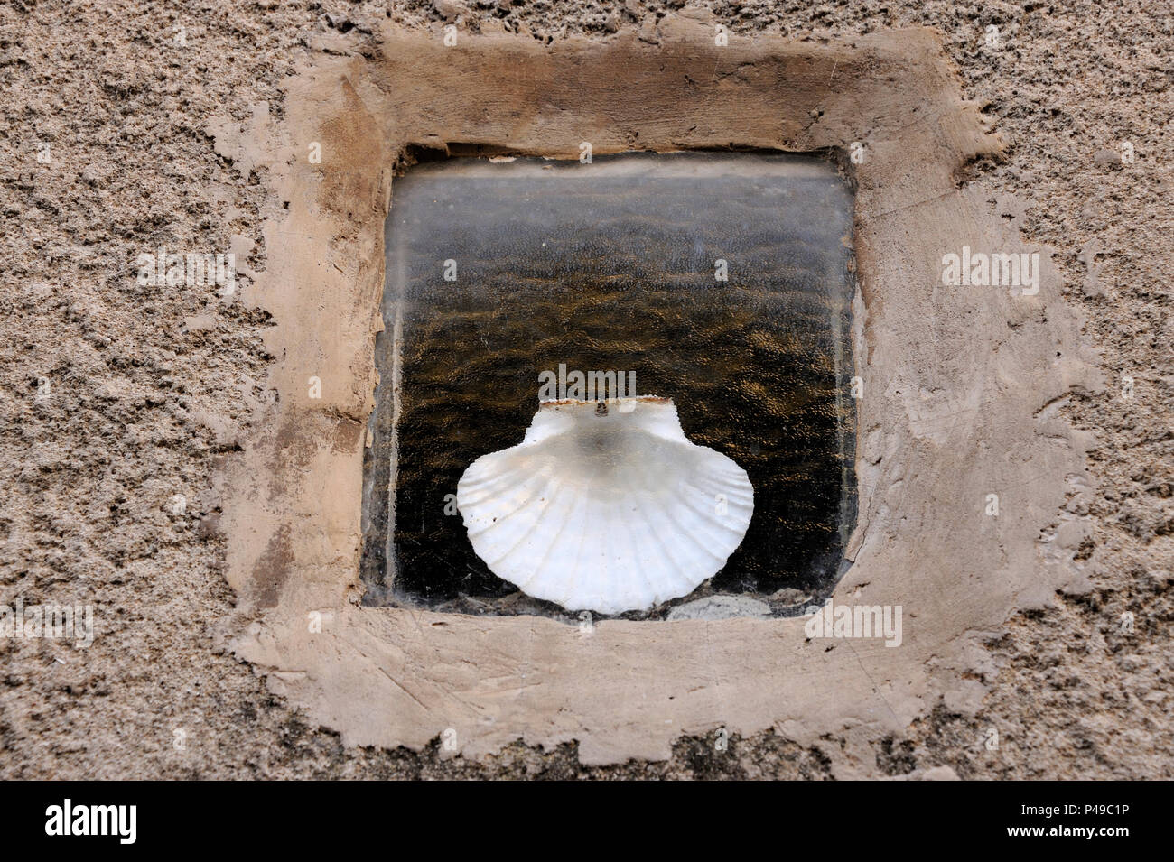 Saint Jacobs shell is a symbol of the pilgrims to Santiago de ...