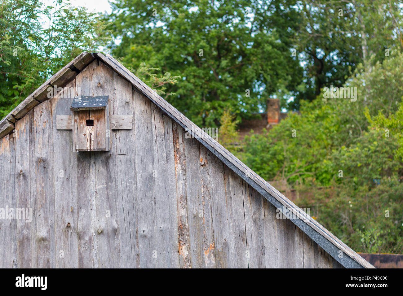 Wooden nest box on house wall hi-res stock photography and images - Alamy