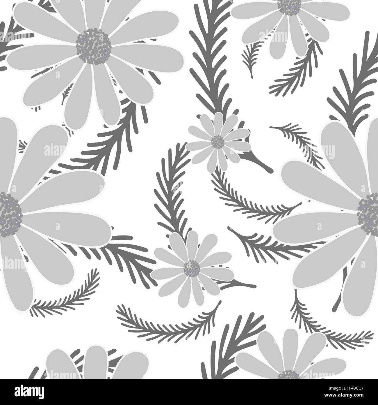 Gray scale color summer background with camomiles flowers. Floral ...