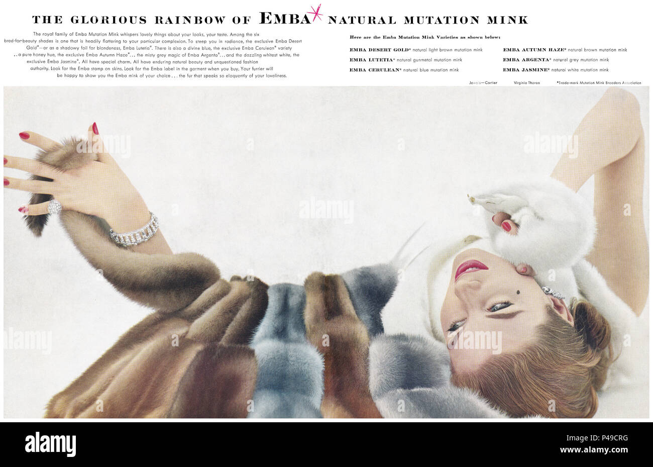 1955 advertisement for Emba natural mutation mink Stock Photo - Alamy