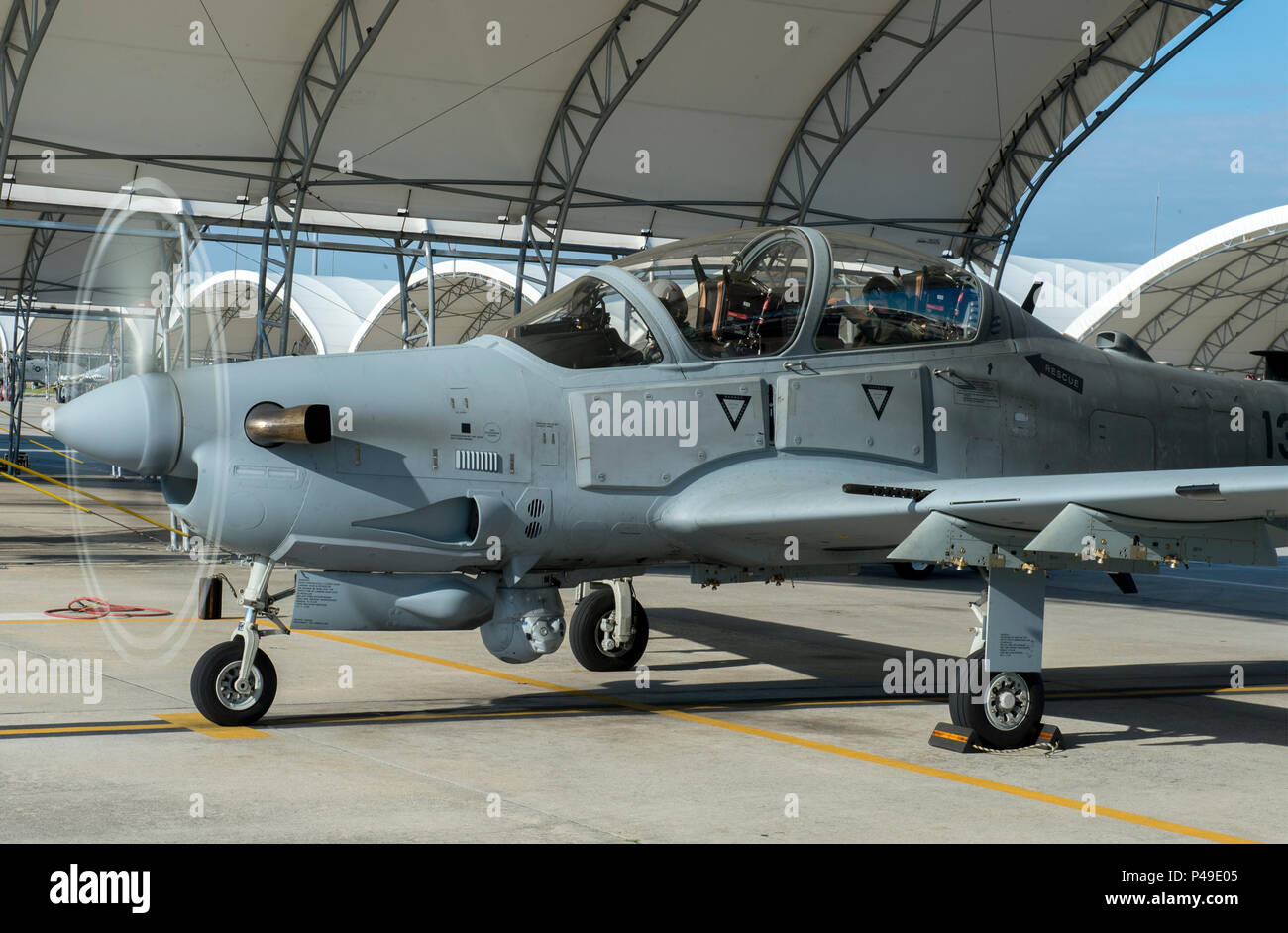 81st Fighter Squadron High Resolution Stock Photography and Images - Alamy