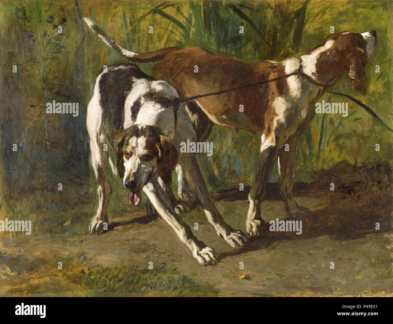 Leashed hounds hi-res stock photography and images - Alamy