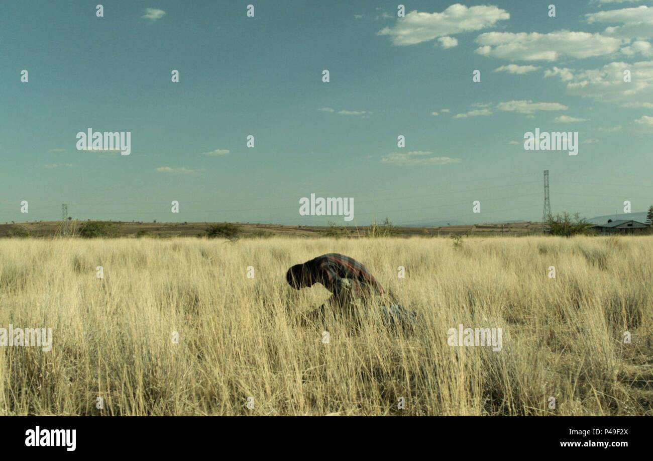 Mantarraya mantarraya hi-res stock photography and images - Alamy