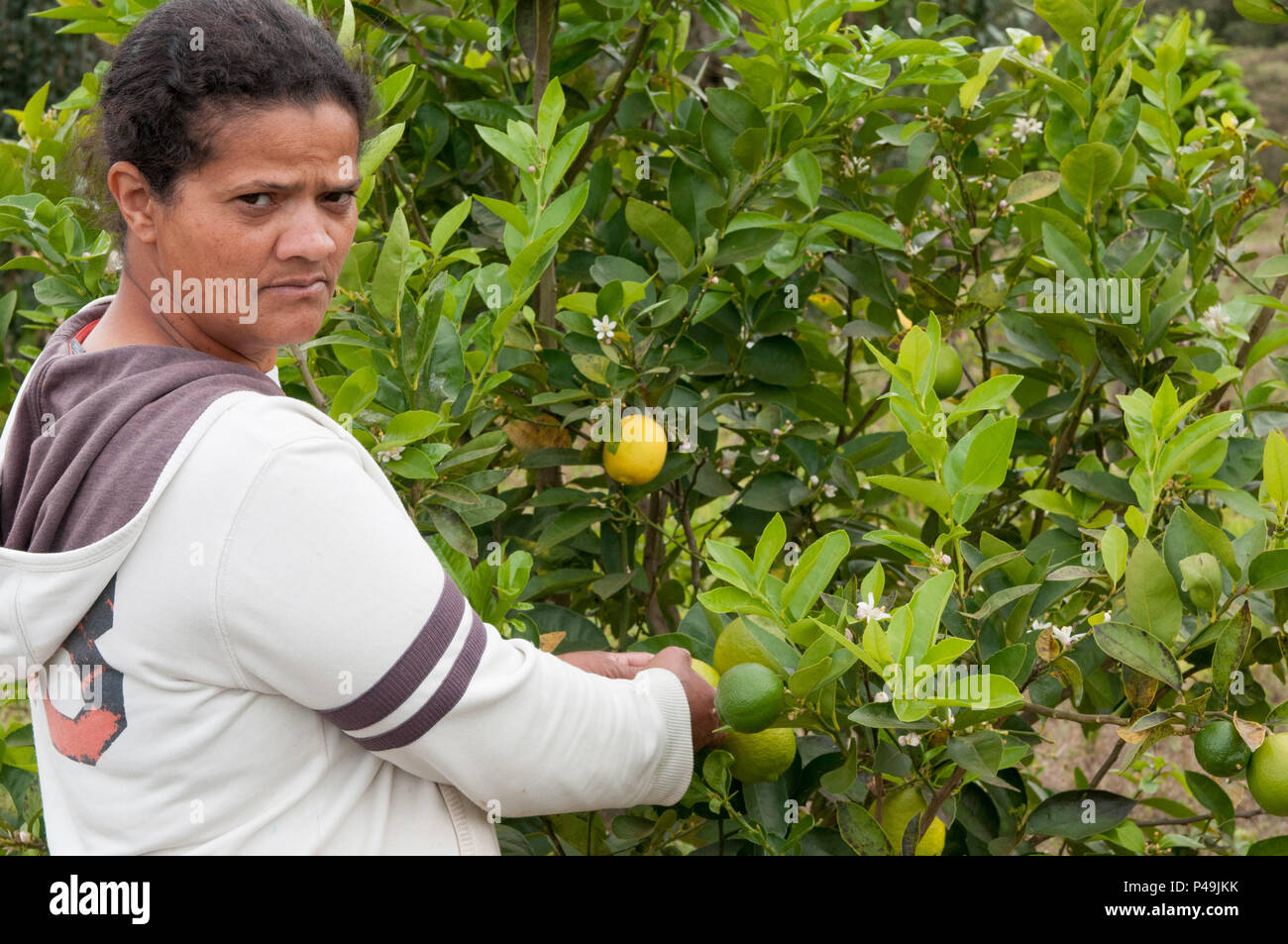 LAVRAS NOVAS, MG - 17.08.2015: MENINA RURAL - Nazha Gonçalves (mãe de ...