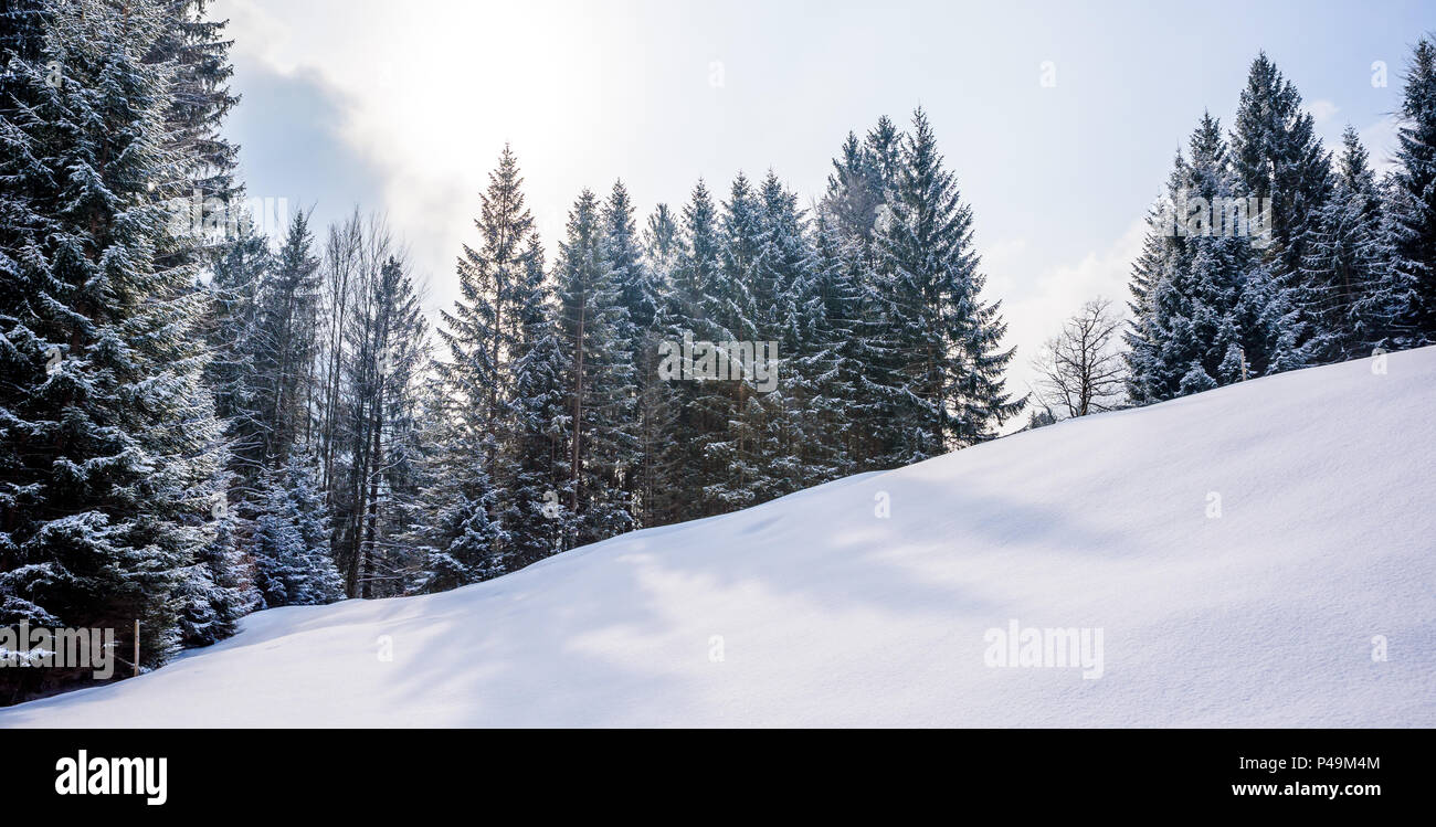 Beautiful winter scenery in the german alps at Oberstdorf, Allgaeu ...