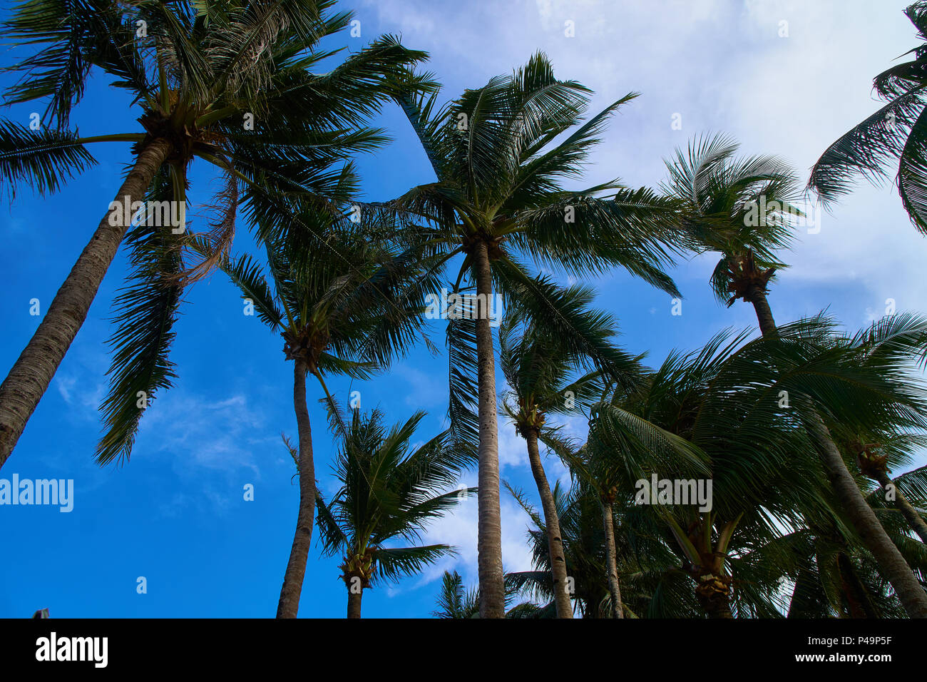 Boracay island paradise beach hi-res stock photography and images - Alamy