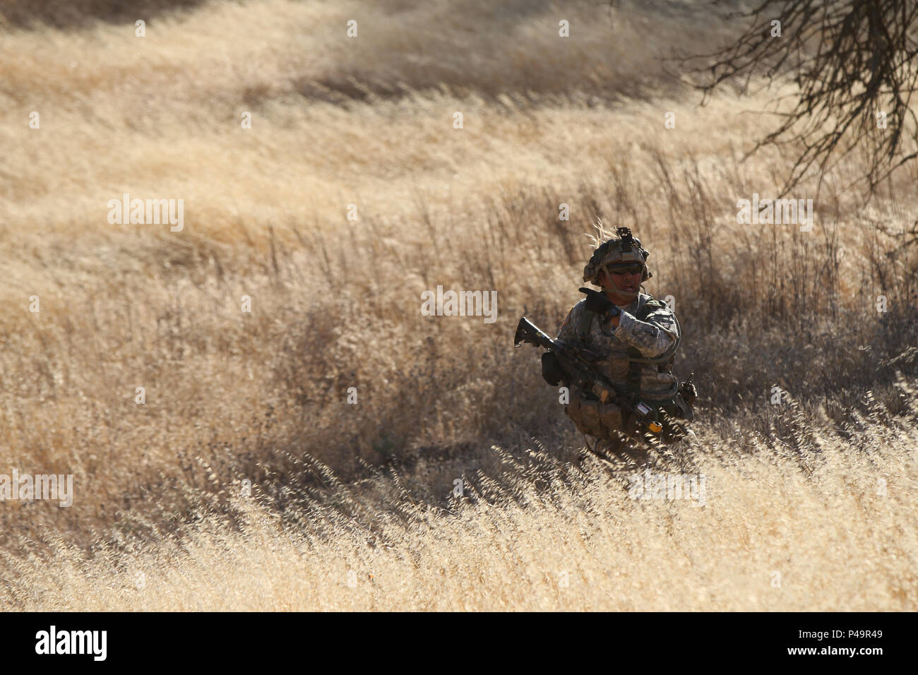 A member of 1st 1st Battalion, 294th Infantry Regiment, Guam Army ...