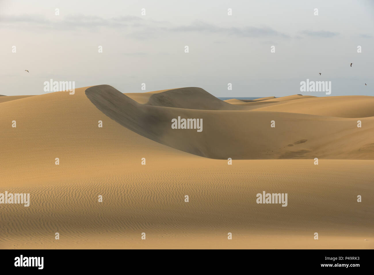 Desert - beautiful landscape with sand dunes Stock Photo - Alamy
