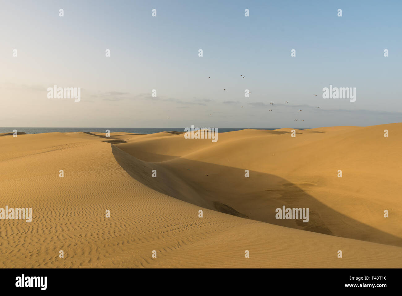 Desert - beautiful landscape with sand dunes Stock Photo - Alamy