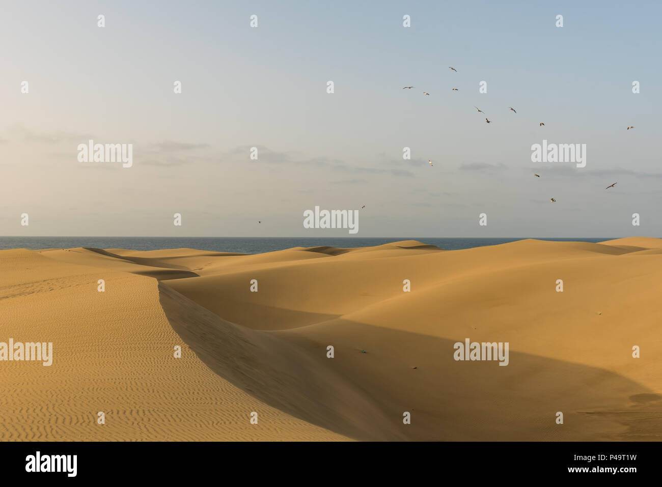 Desert - beautiful landscape with sand dunes Stock Photo - Alamy