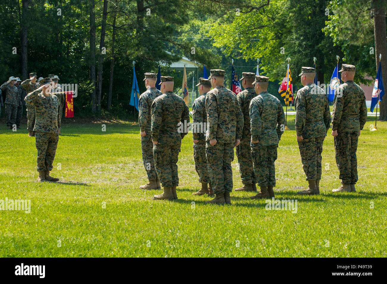 Judith reid hi-res stock photography and images - Alamy